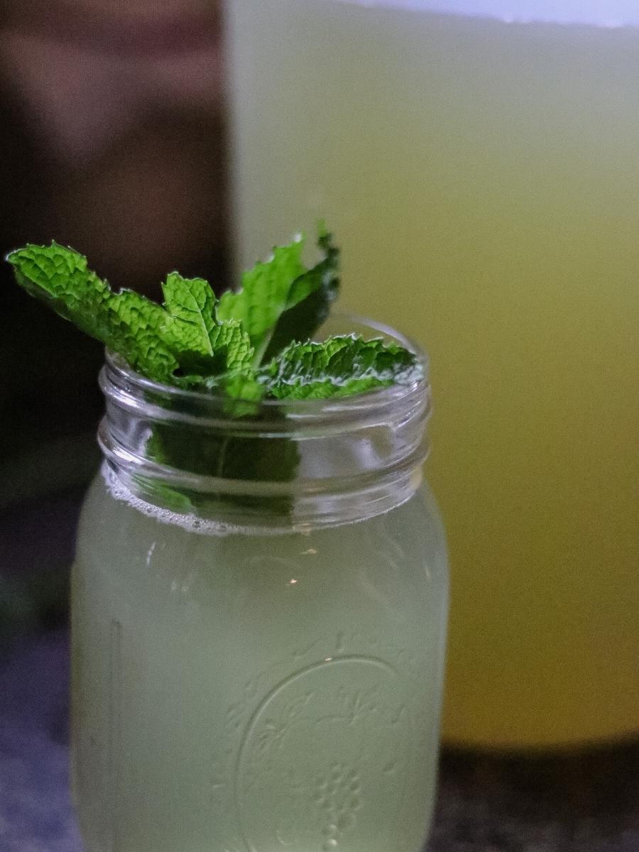 Refreshing Herbal Mint And Clover Tea Recipe